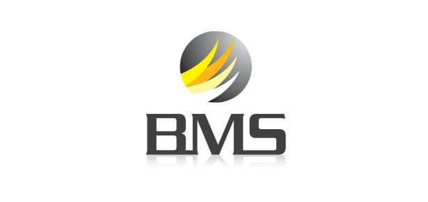 Gaji PT Buana Mas Sejati Terbaru Lengkap Semua Posisi - Informasi Gaji